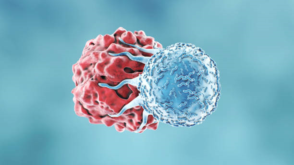 Helbling Systems Democratize Precision Medicine and Novel Therapies ...